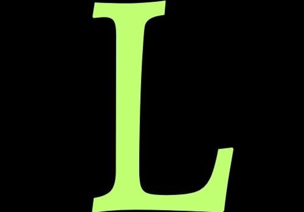 Remembering Debra Kaye Parsons: A Life of Love and Resilience - The ...